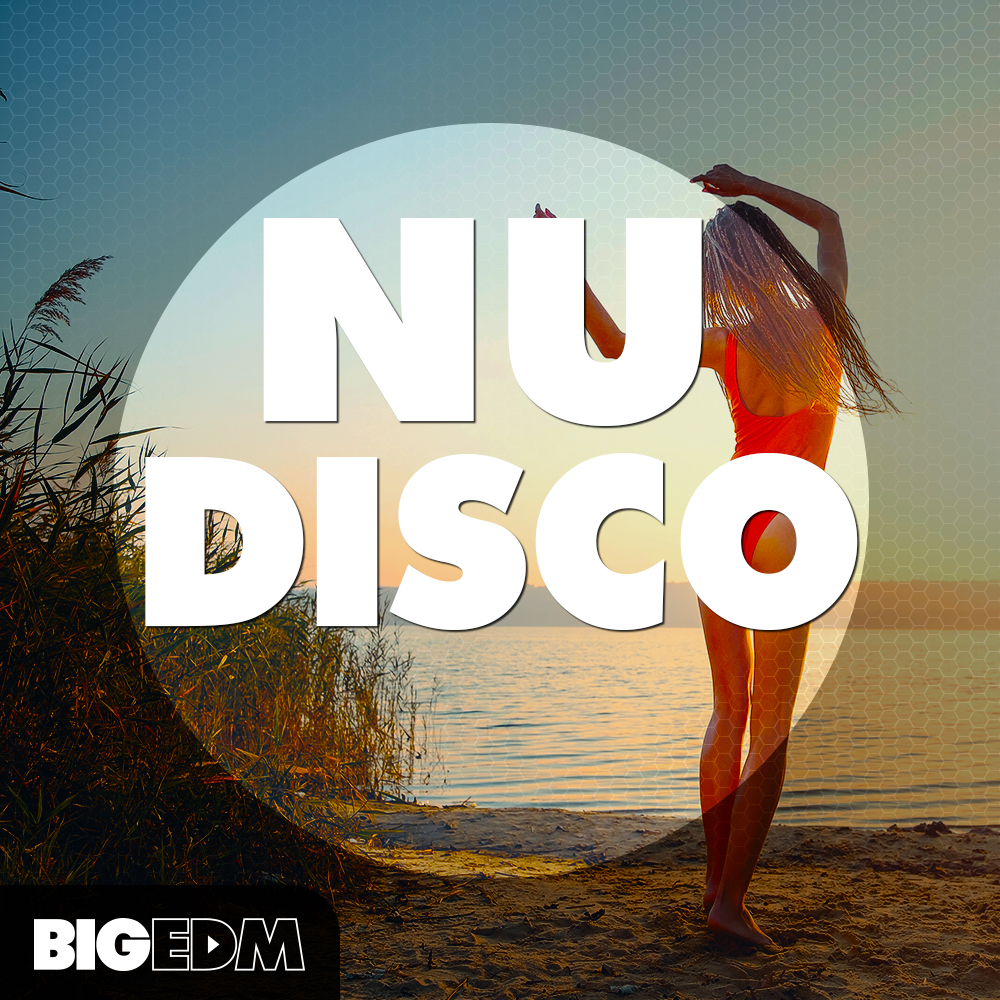 Nu Disco Sample Pack | W. A. Production